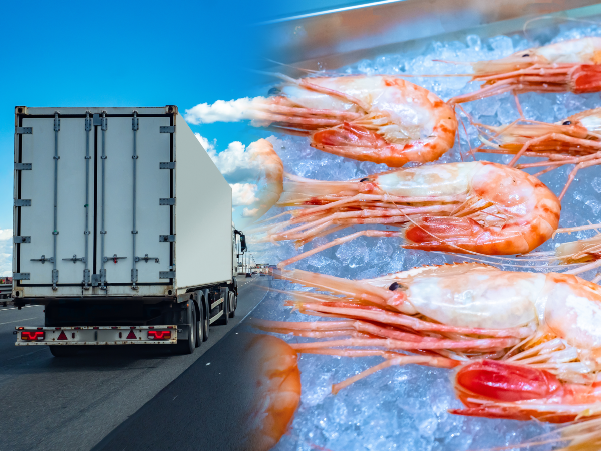 Cold Storage Shipping | Mountain River Trucking